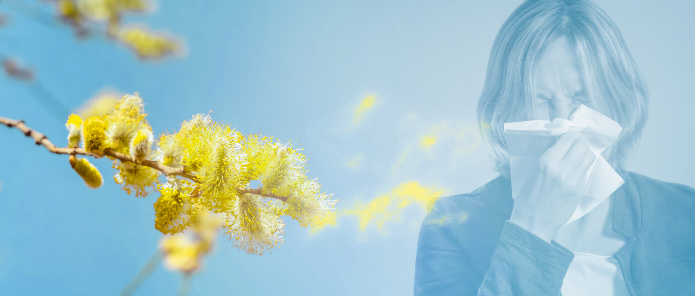Surviving Spring Allergies - Pennsylvania Bar Institute (PBI)